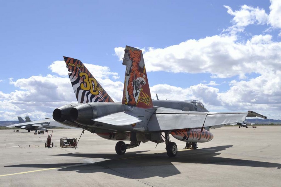 Tiger Meet 2016 en Zaragoza - Fly News